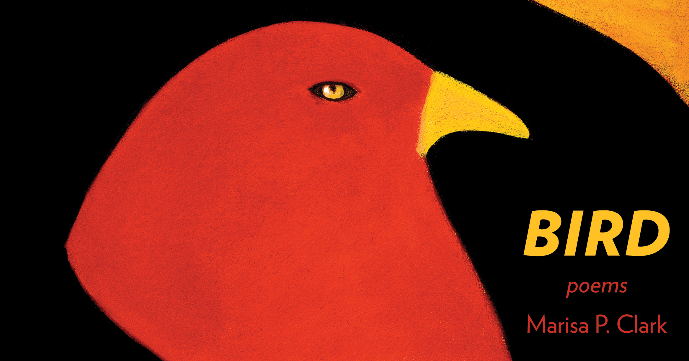 BIRD by Marisa P. Clark : Unicorn Press